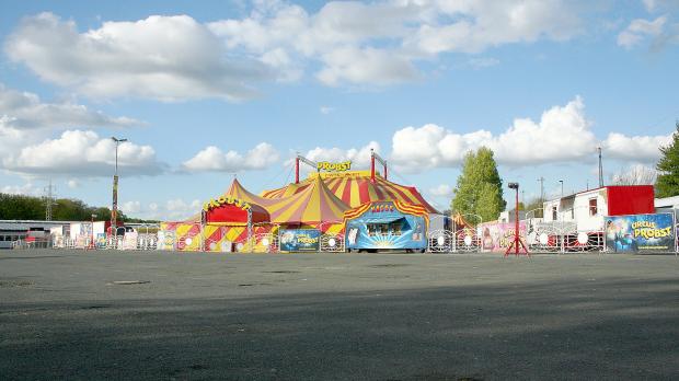 Circus Probst kommt nach Leer - General-Anzeiger