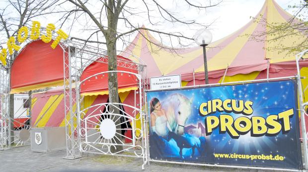 Circus Probst gastiert in Leer - General-Anzeiger