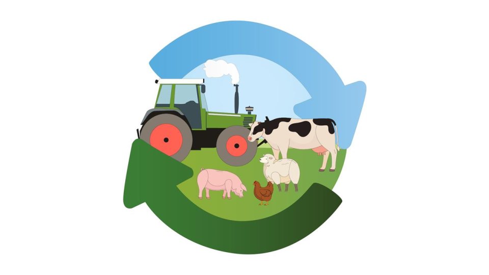 Landwirtschaft im Wandel - General-Anzeiger